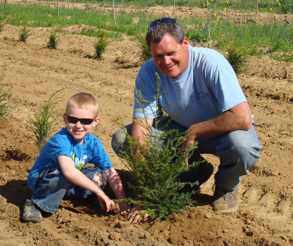 Southern Nursery | Wholesale nursery growing quality trees & shrubs ...